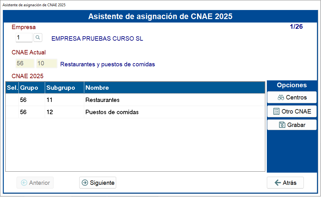 Asistente para la Asignación CNAE 2025 – Aplifisa